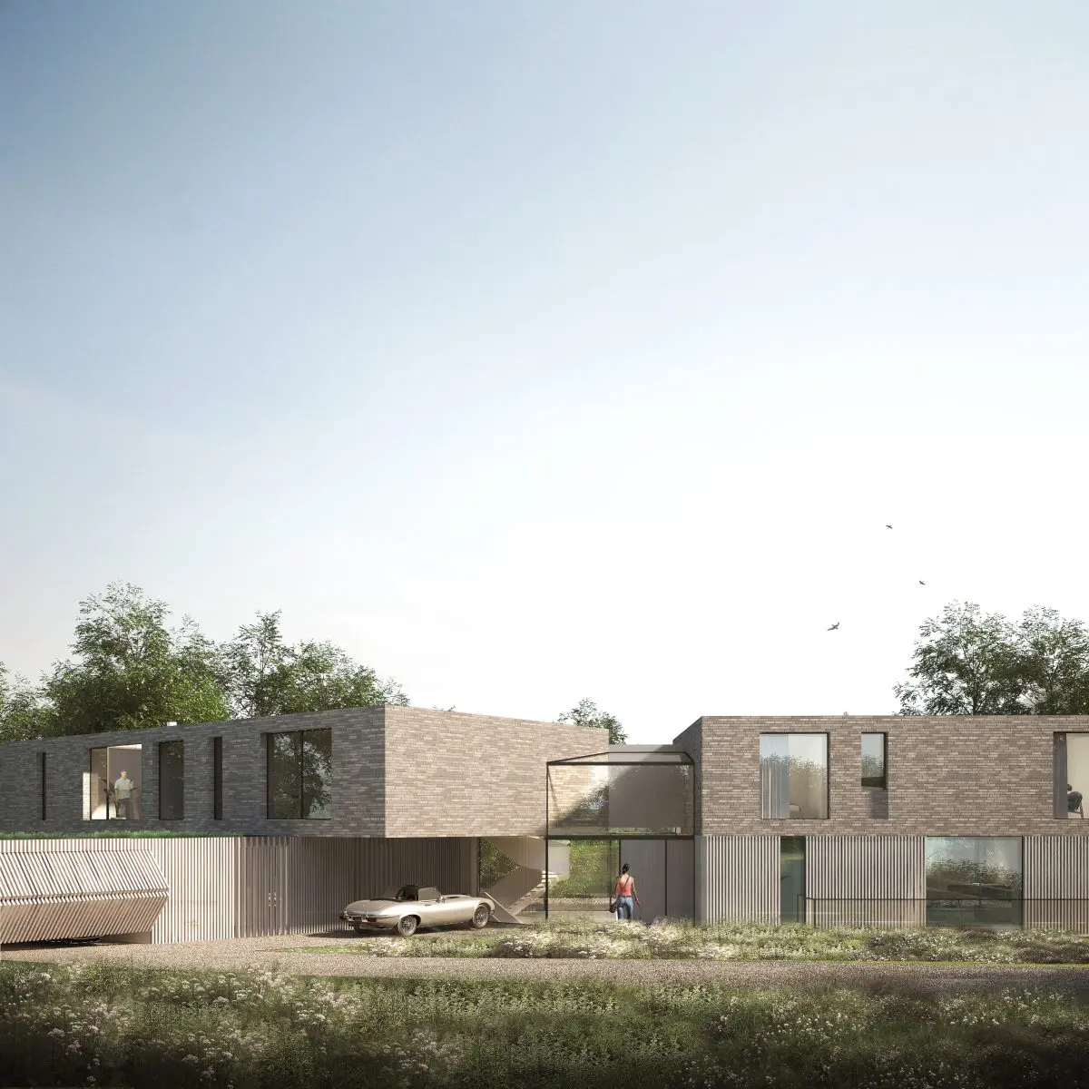 Longbourne - Cousins & Cousins